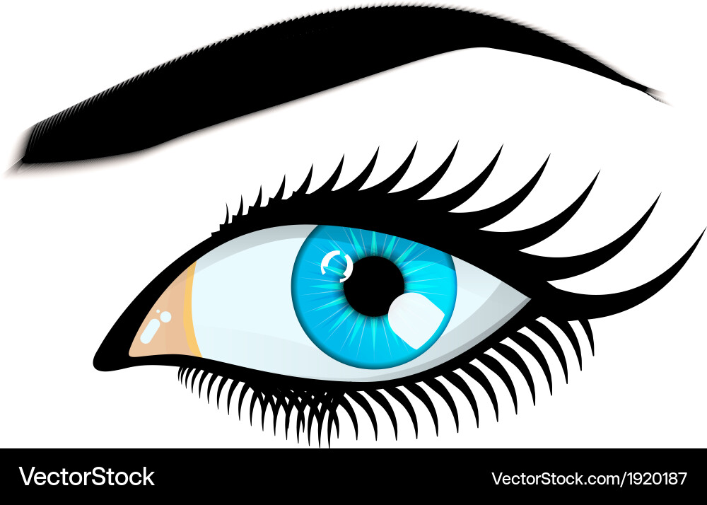 Blue women eye Royalty Free Vector Image - VectorStock
