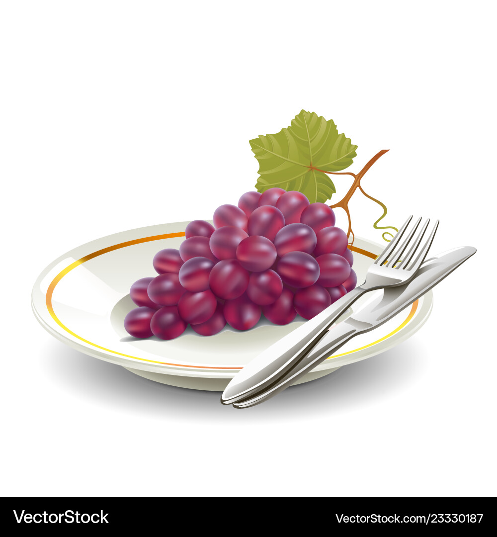 Dish 08 Royalty Free Vector Image - VectorStock