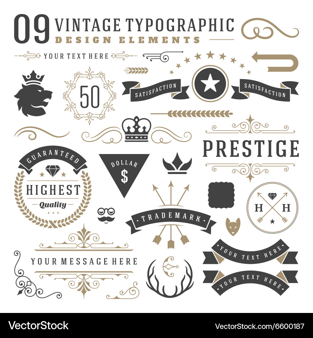 Retro vintage typographic design elements Vector Image