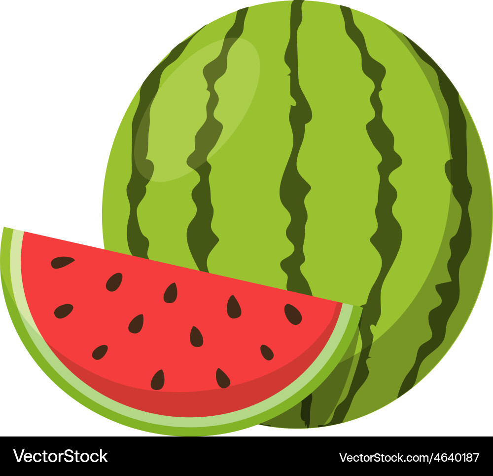 Watermelon Royalty Free Vector Image - VectorStock