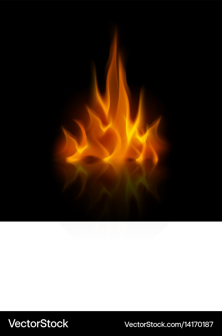 Yellow orange fire flame on background Royalty Free Vector