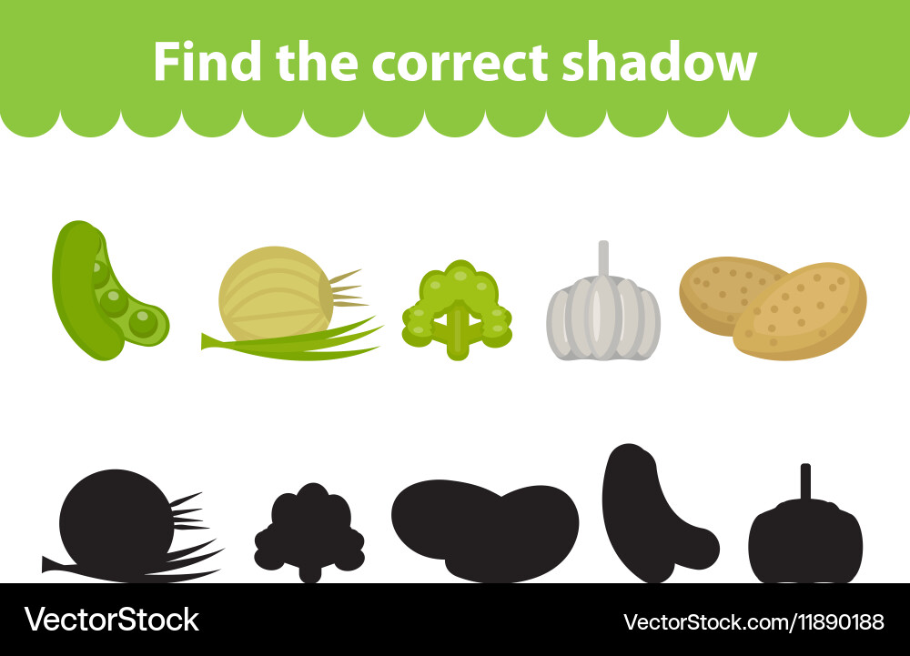 Children s educational game find correct shadow Vector Image