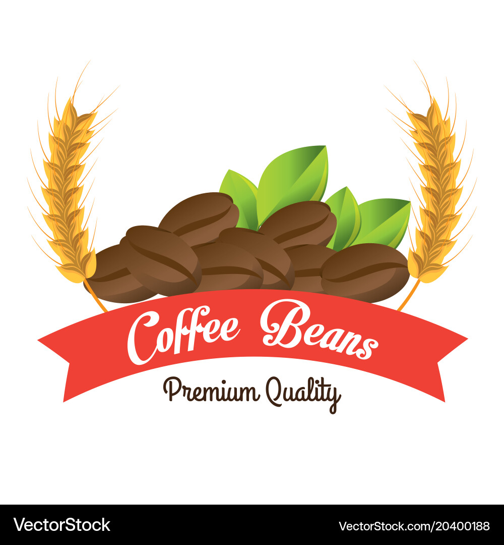 Coffee beans premium quality Royalty Free Vector Image