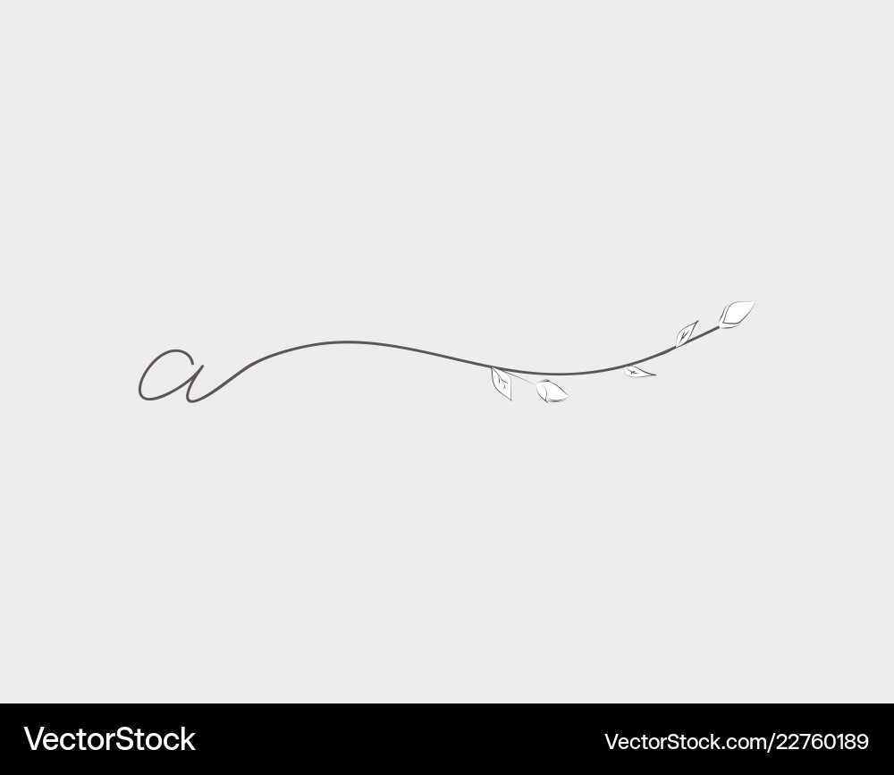 Hand lettering floral a lowercase monogram Vector Image