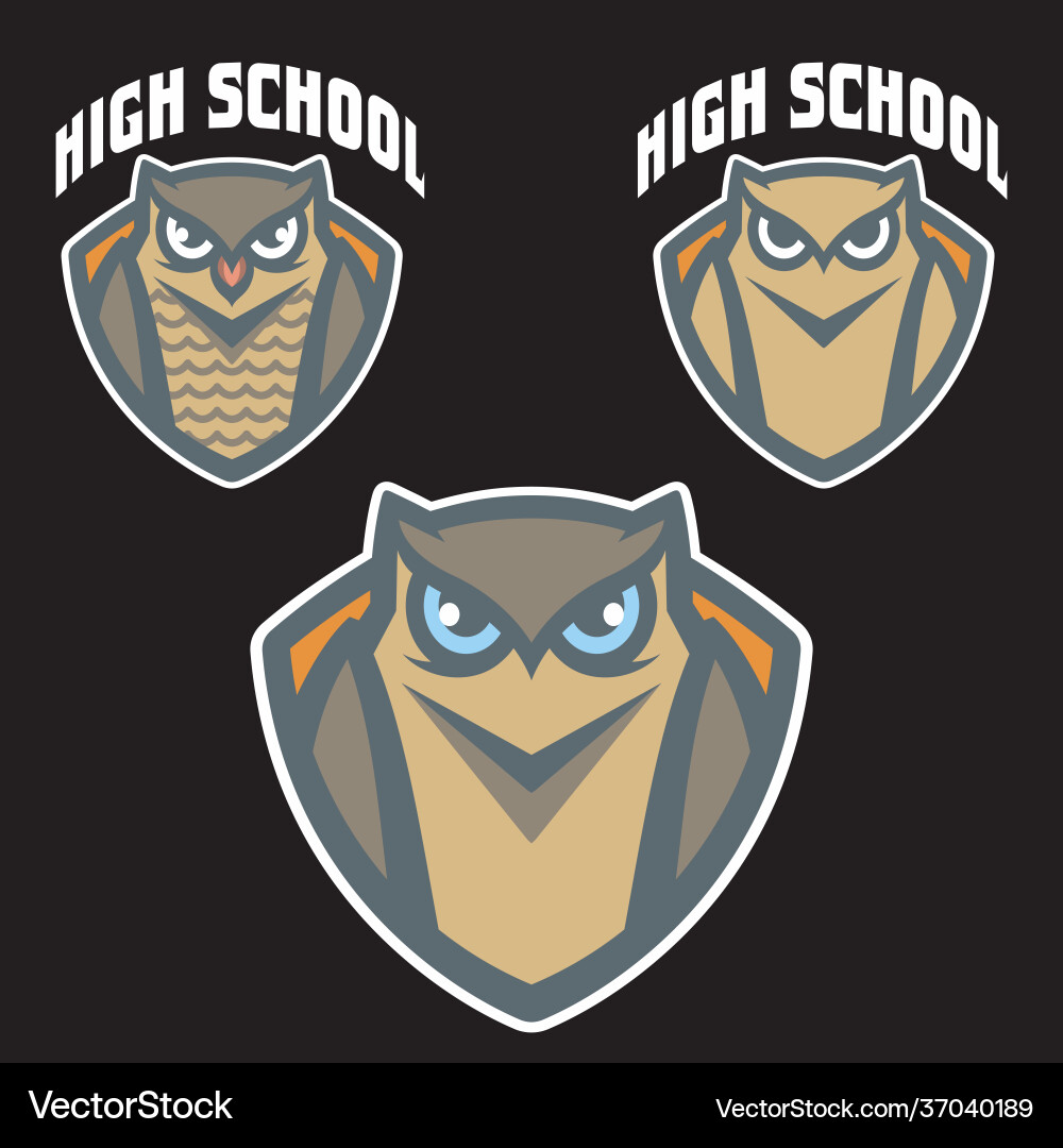 Hs Owl Logo