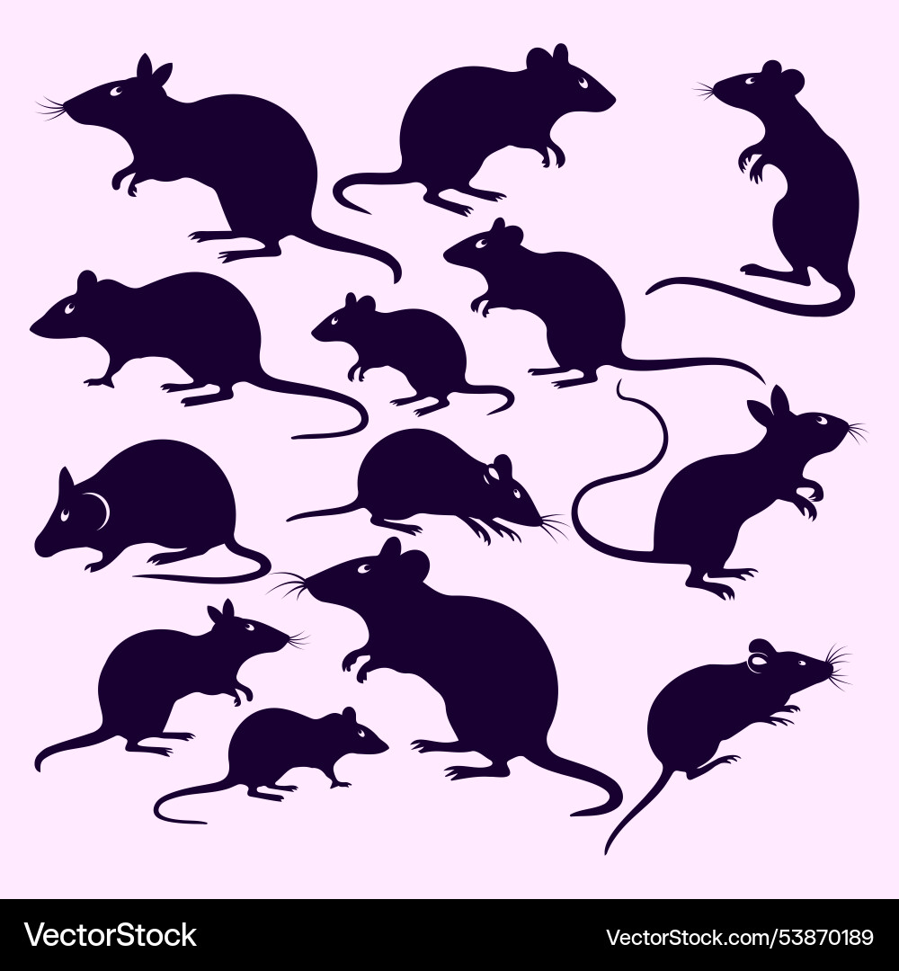 Rat and mouse silhouette collection for art Vector Image