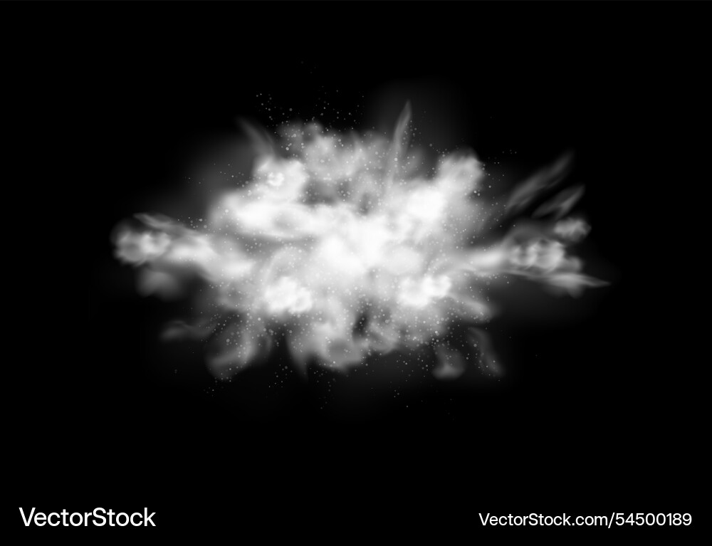 Splash of white powder with particles Royalty Free Vector