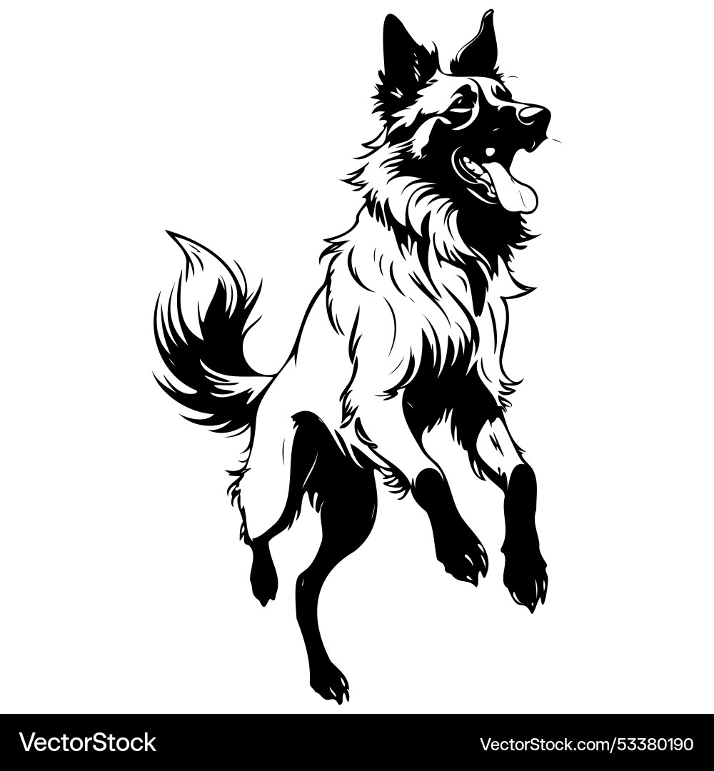 Belgian tervuren jump monochrome hand drawn Vector Image