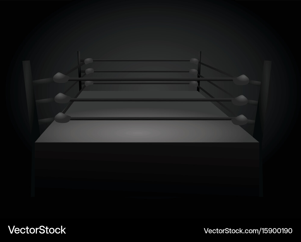 Boxing Ring - Empty Royalty Free Vector Image - VectorStock