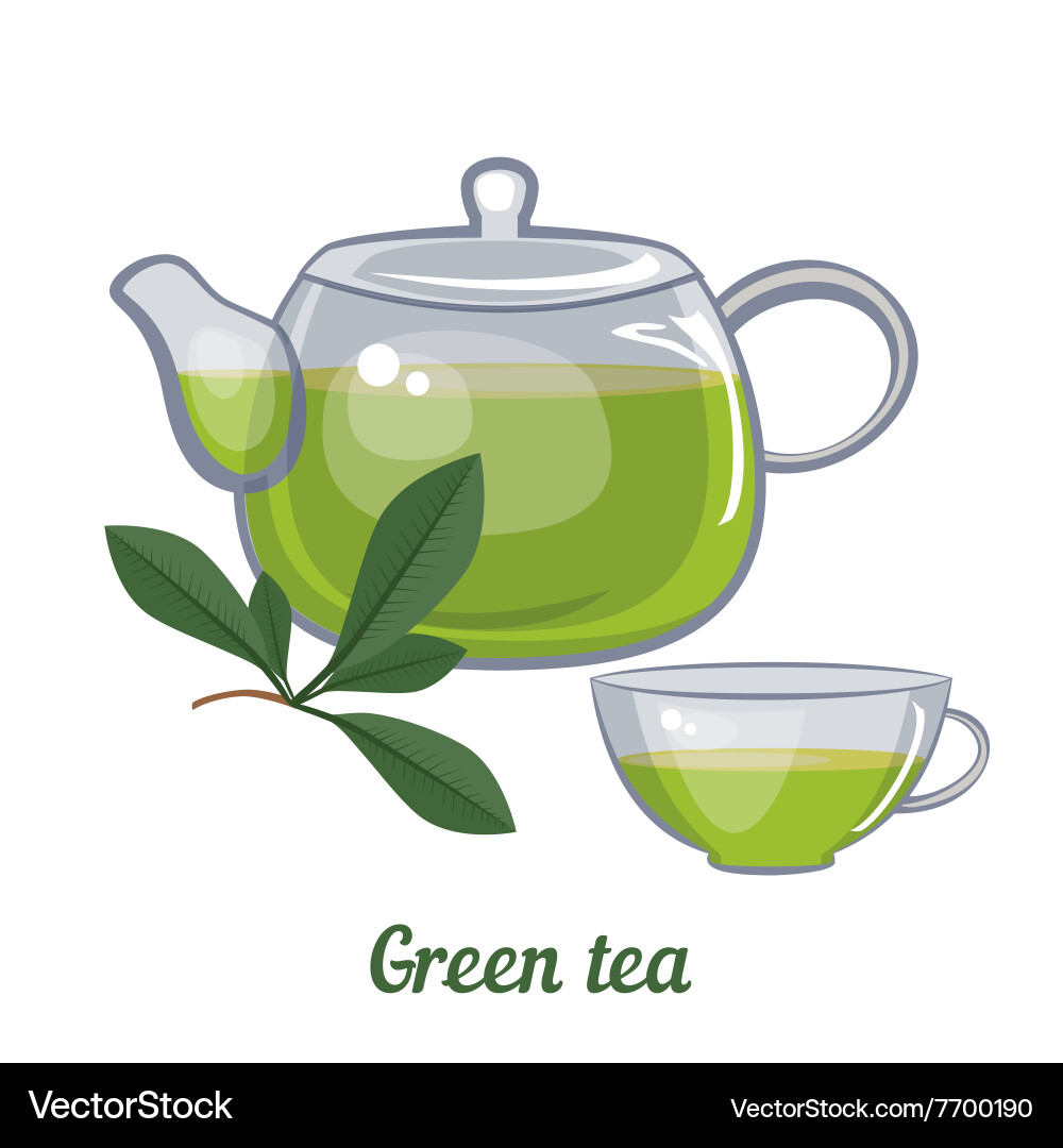 Glass teapot and cup with green tea Royalty Free Vector