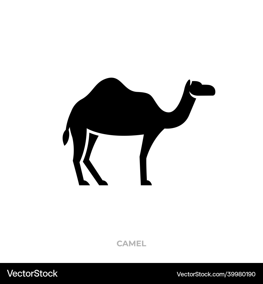 Graphic template of camel silhouette logo Vector Image