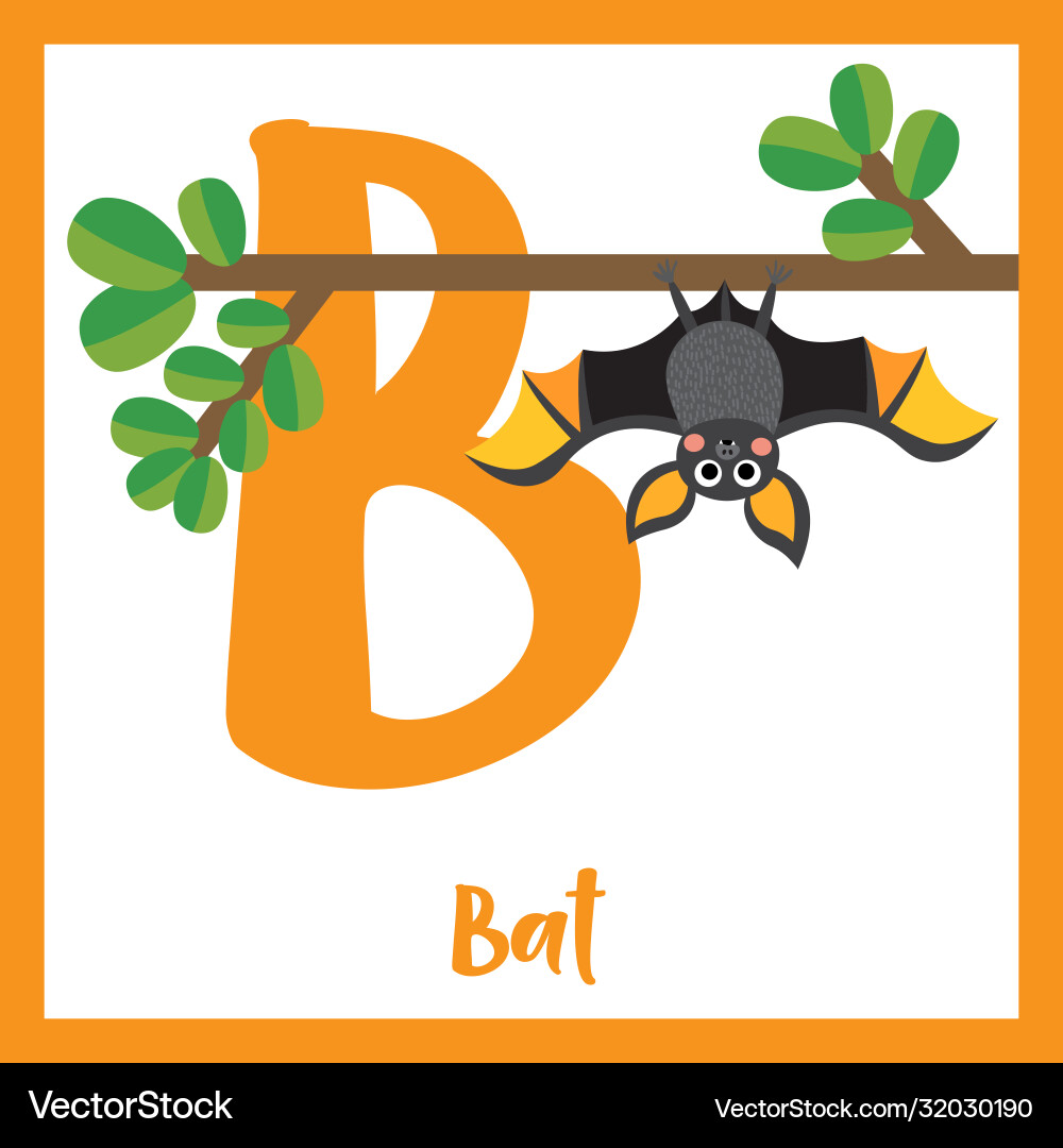 Letter b vocabulary bat roosting on branch Vector Image