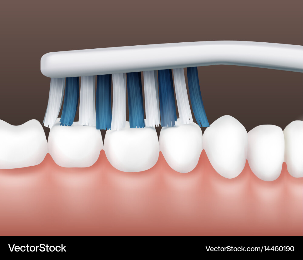 Teeth with toothbrush Royalty Free Vector Image