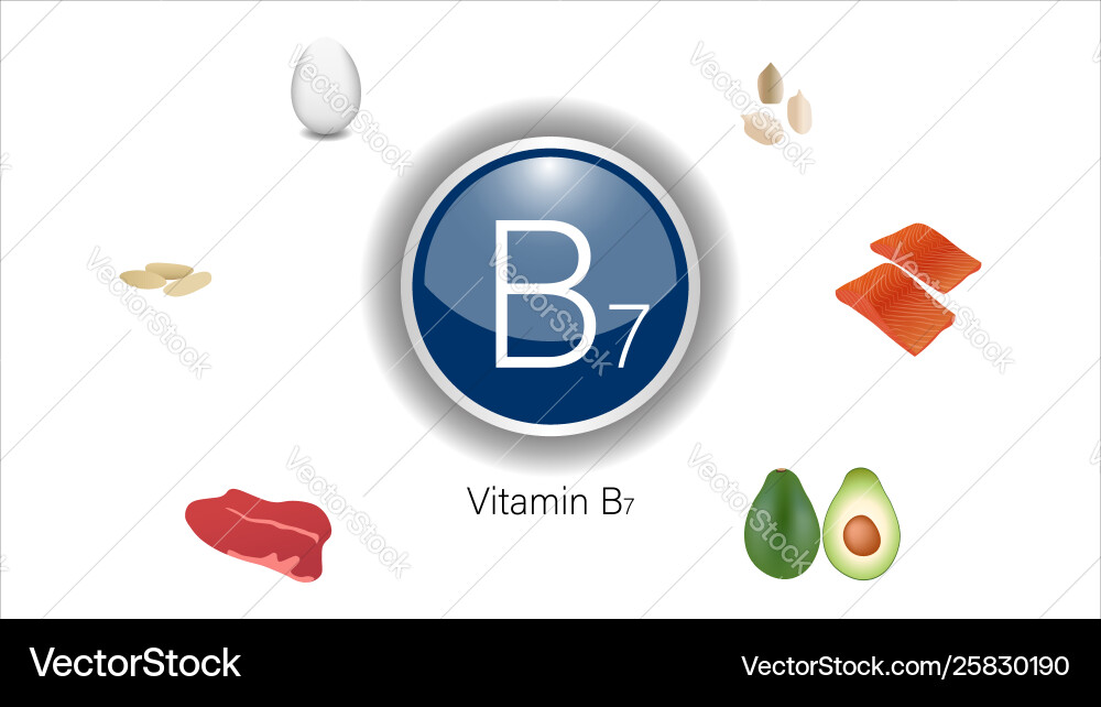 Vitamin b7 Royalty Free Vector Image - VectorStock