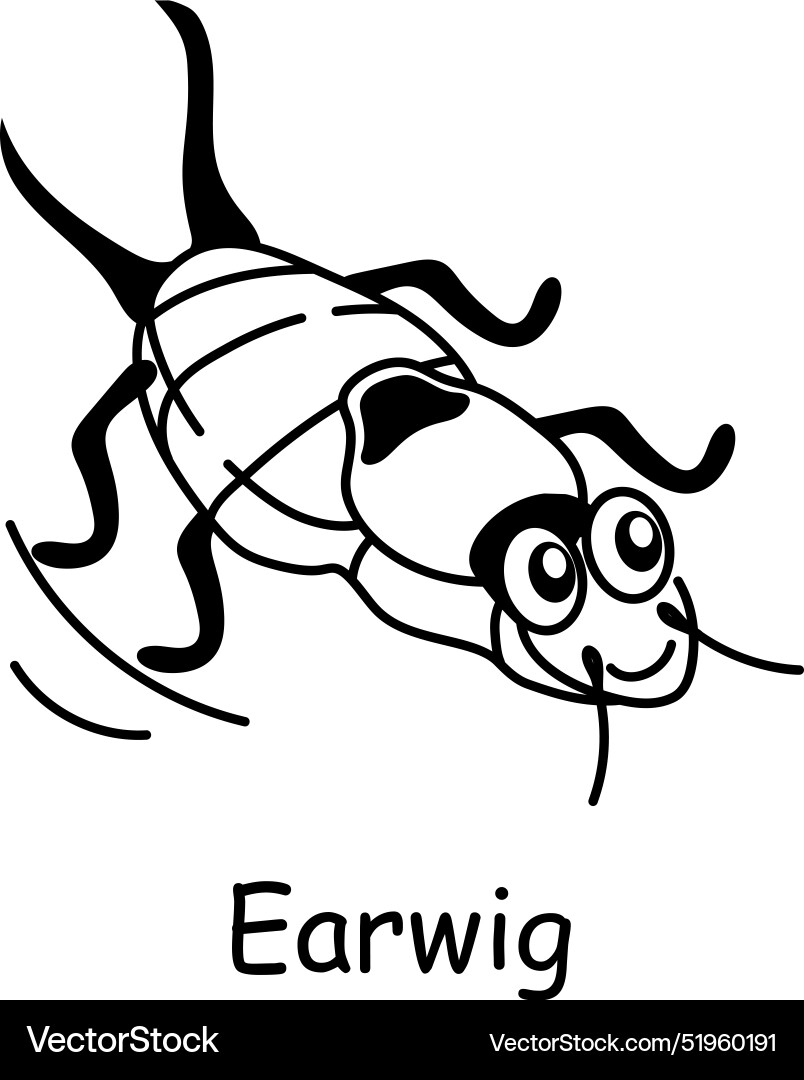 Earwig Royalty Free Vector Image - VectorStock