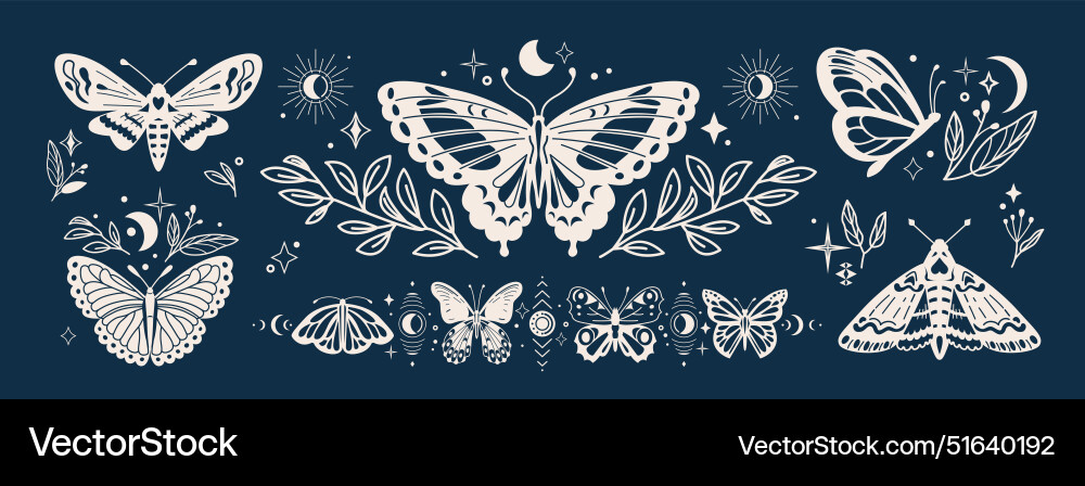 Mystic butterfly set magic Royalty Free Vector Image