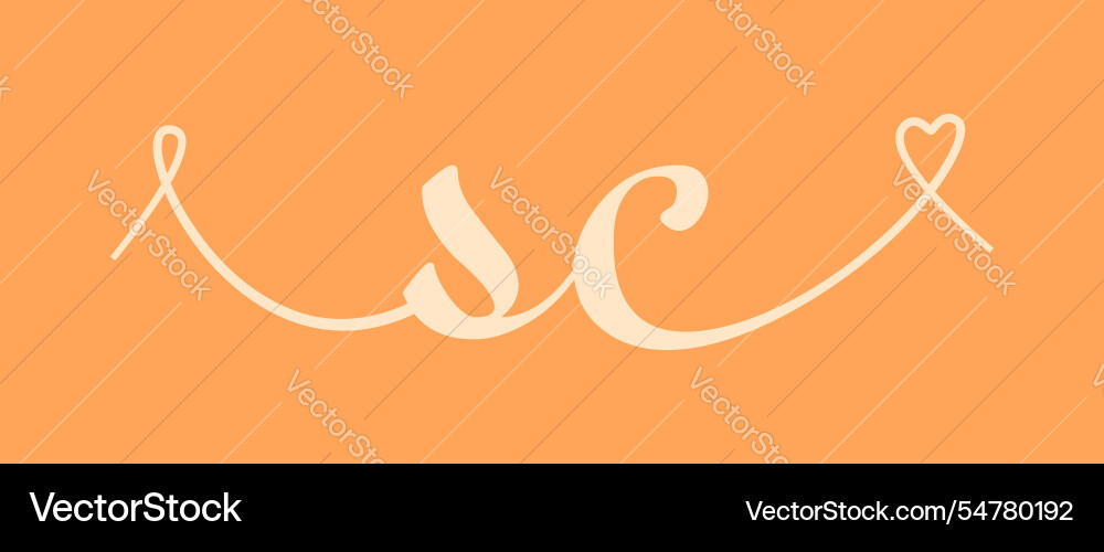 Sc initial wedding monogram calligraphy hand Vector Image