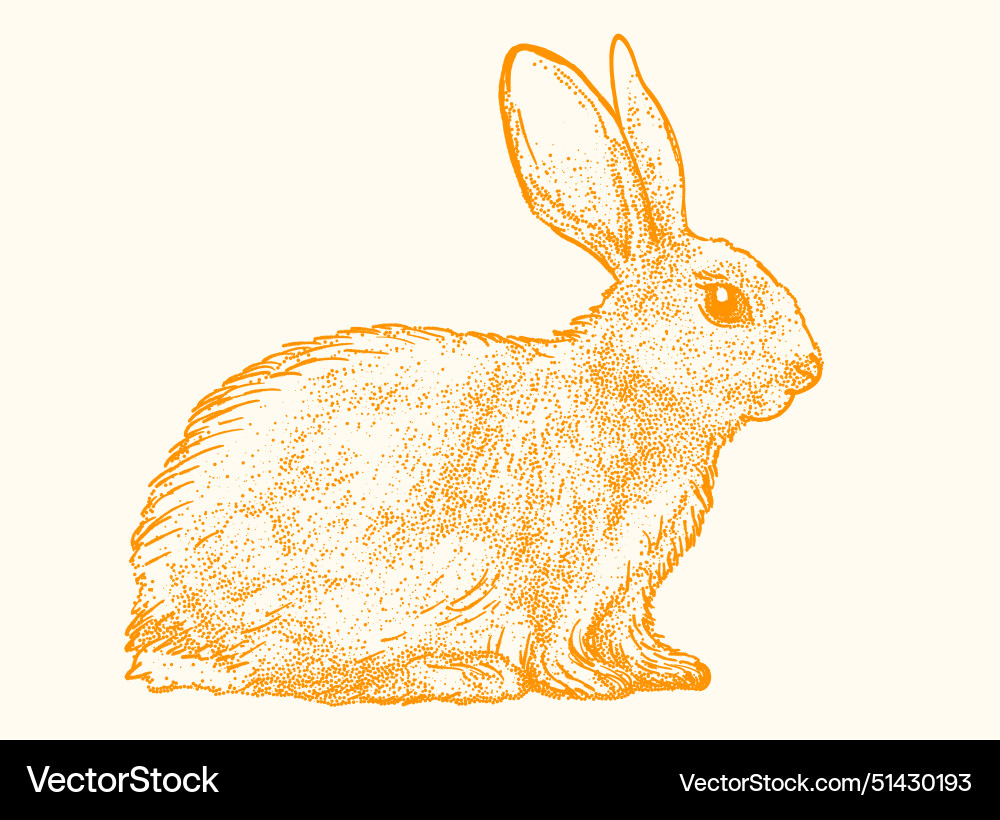 Hand drawn sketch rabbit for your design ink cute Vector Image