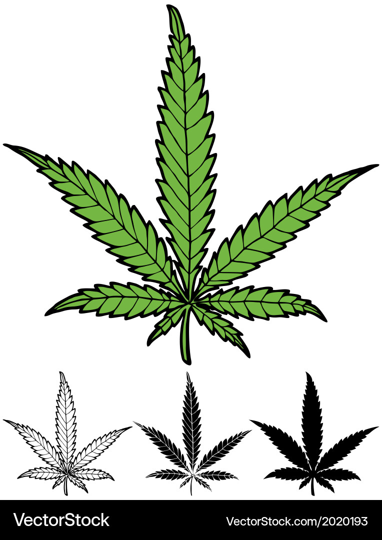 Hemp leaf Royalty Free Vector Image - VectorStock