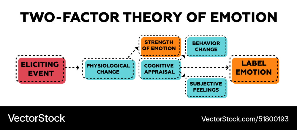 Two factor theory of emotion identification Vector Image