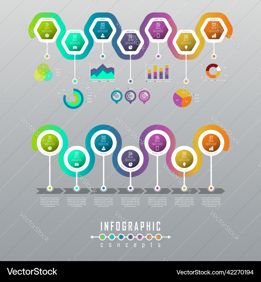 Infographic timeline template for chart diagram Vector Image