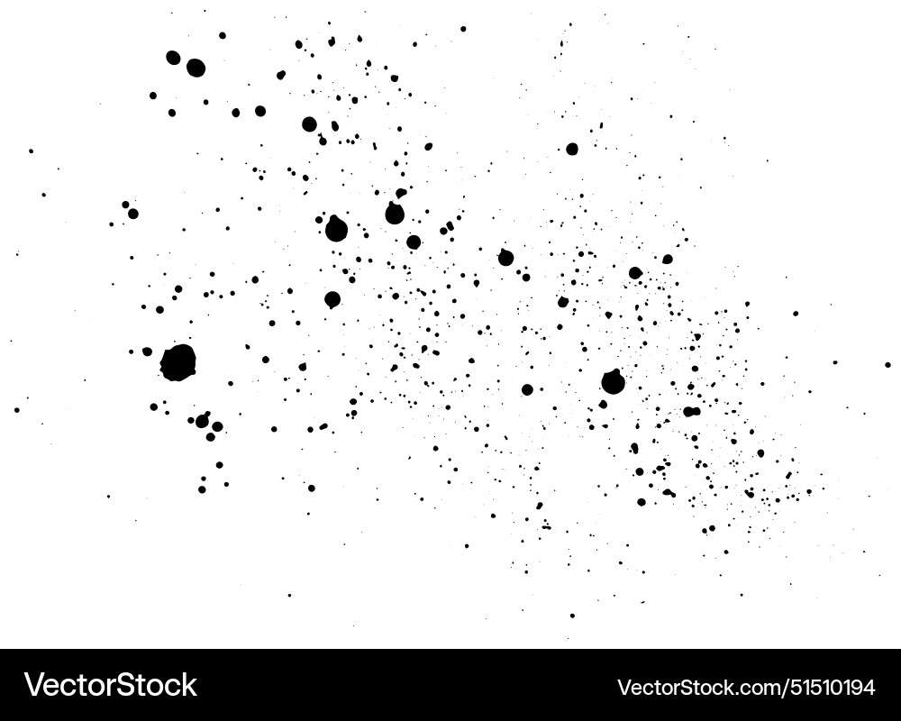 Overlay ink paint brush drops background Vector Image