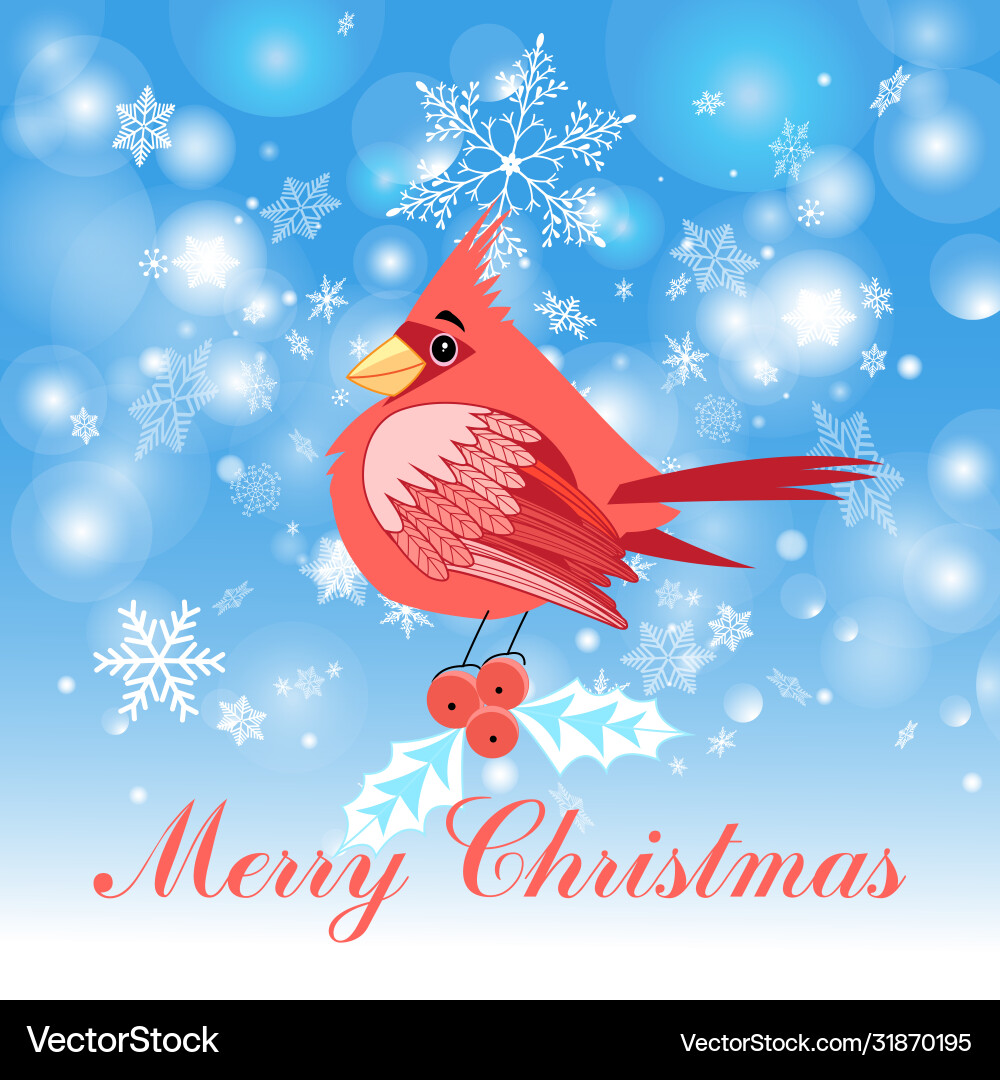 Red cardinal bird Royalty Free Vector Image - VectorStock