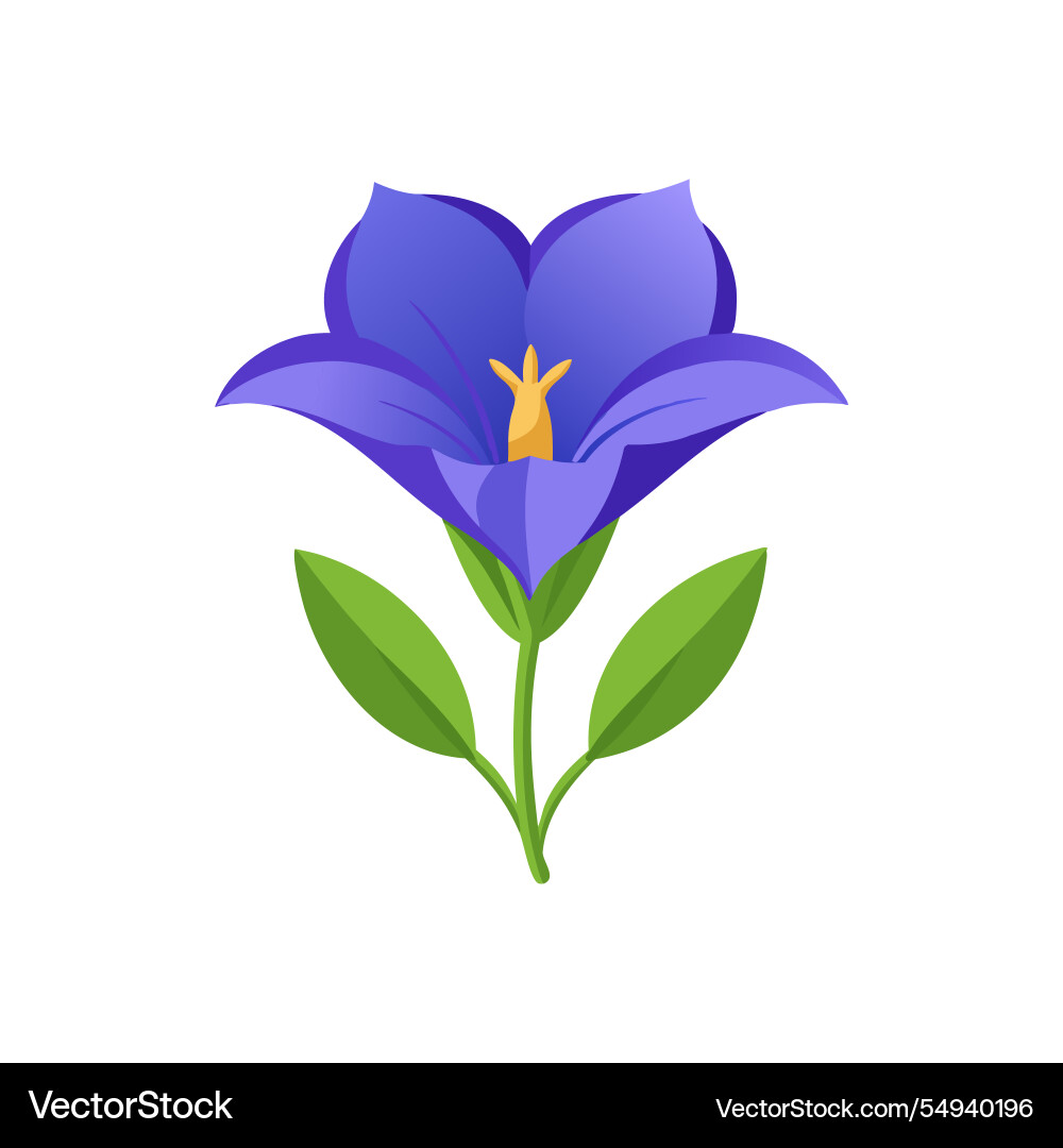 Gentian flower isolated flat on white background Vector Image