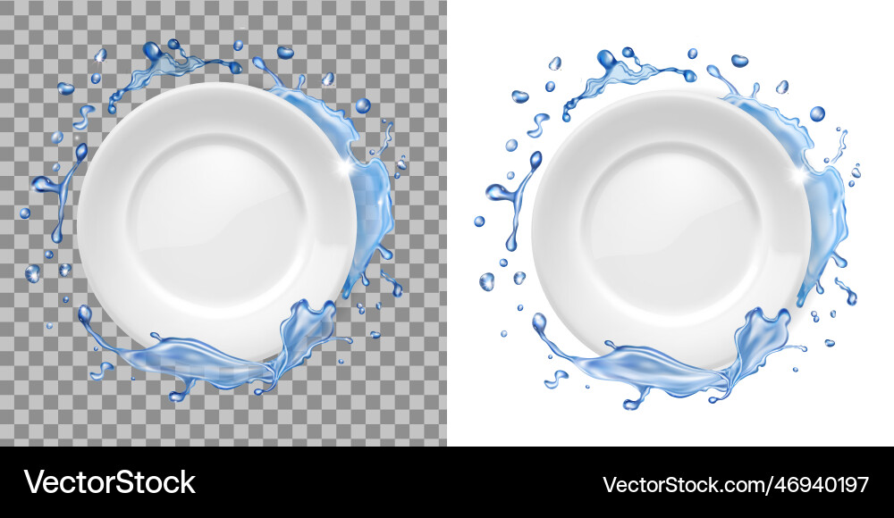 Clean plate in water splash dishwasher Royalty Free Vector