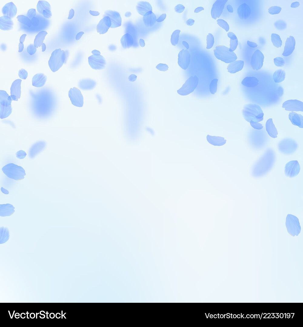 Dark blue flower petals falling down Royalty Free Vector