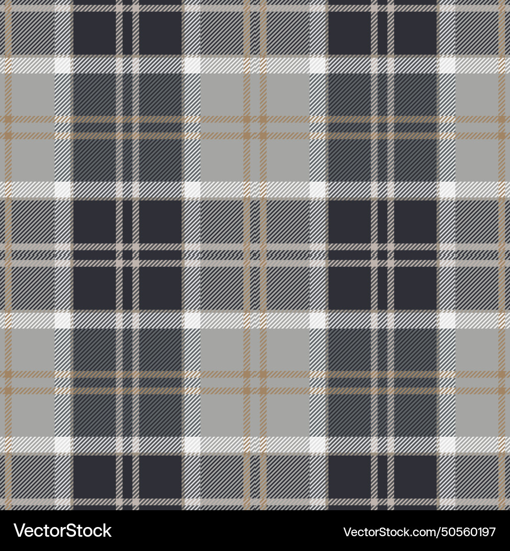 Gray tartan plaid pattern Royalty Free Vector Image