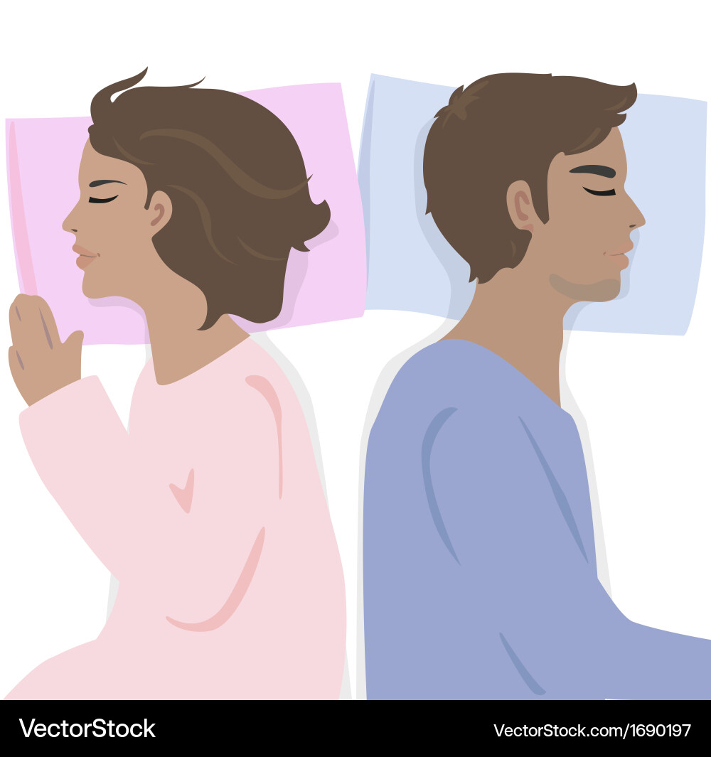 Sleep2 Royalty Free Vector Image - VectorStock