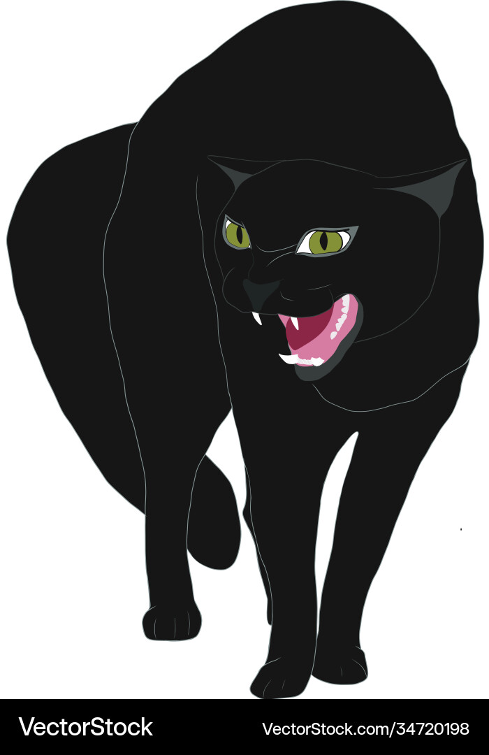 Angry Black Cat Drawing