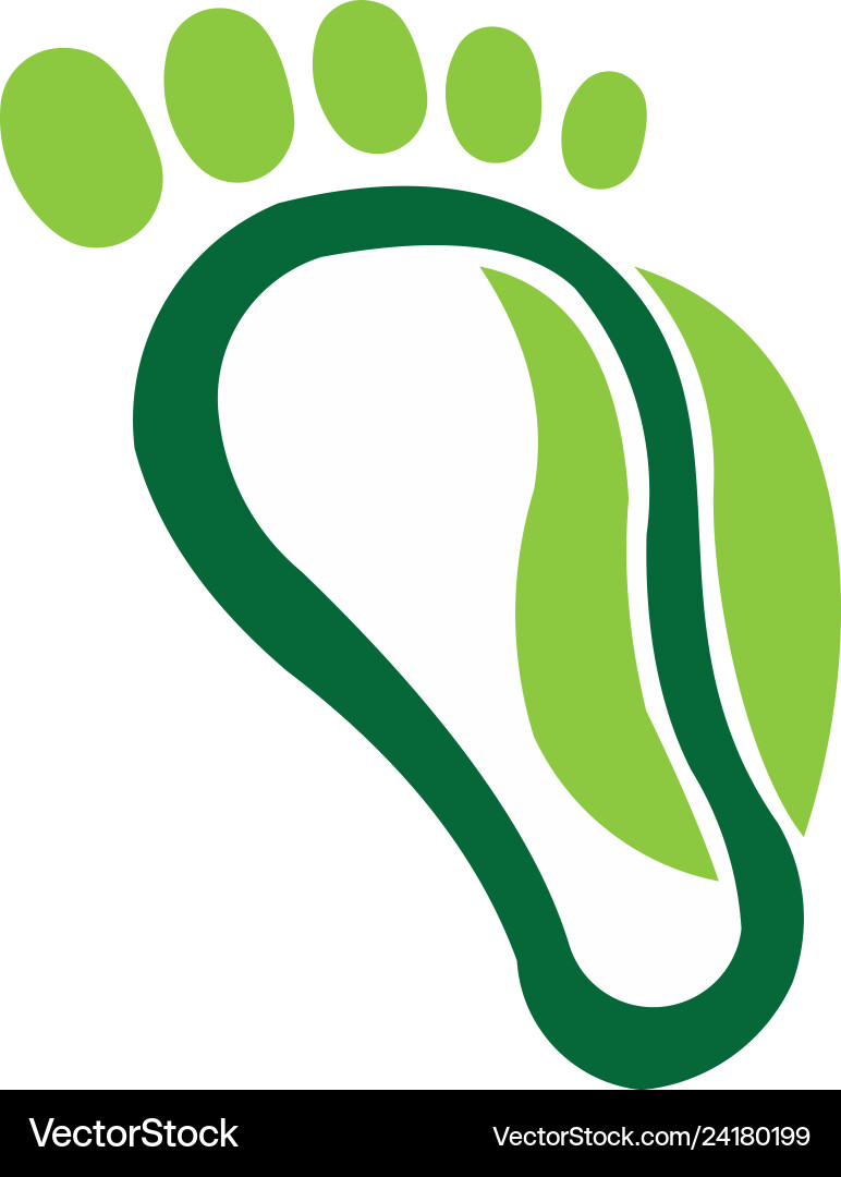 Left and right foot soles contour Royalty Free Vector Image