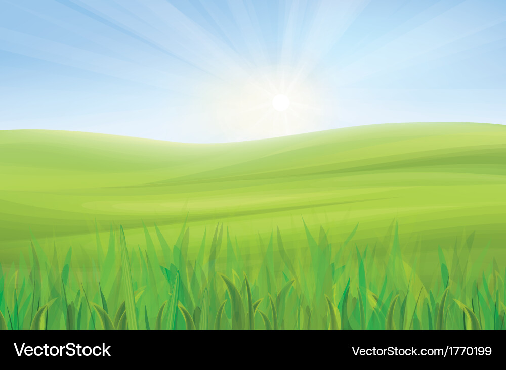 Vibrant Spring Meadow Royalty Free Vector Image