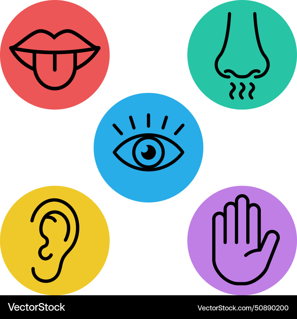 Five Sense Logo Sensory Branding And Branding Through The Five Senses