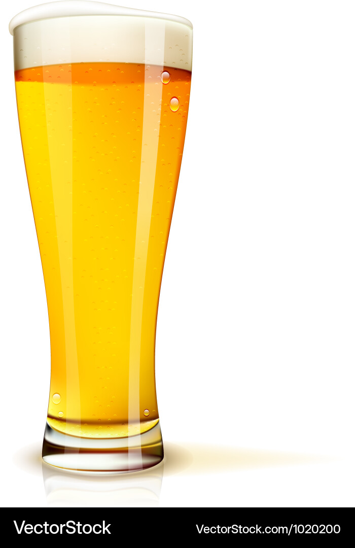 Isolated glass of beer Royalty Free Vector Image