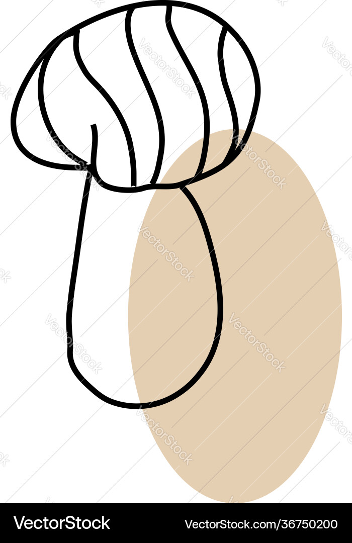 Morel mushroom on a white background Royalty Free Vector