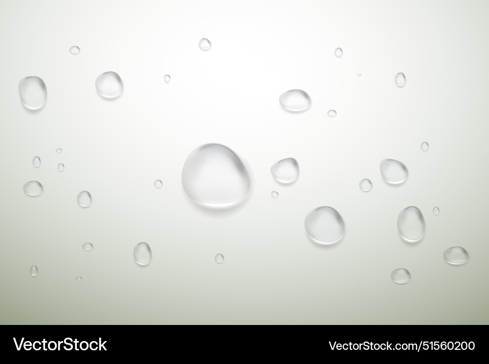 Realistic water drop 3d white background Vector Image