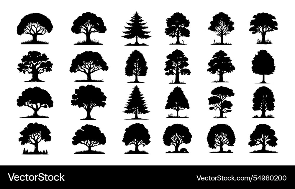 Ash Tree Logo Vector Images (over 340)