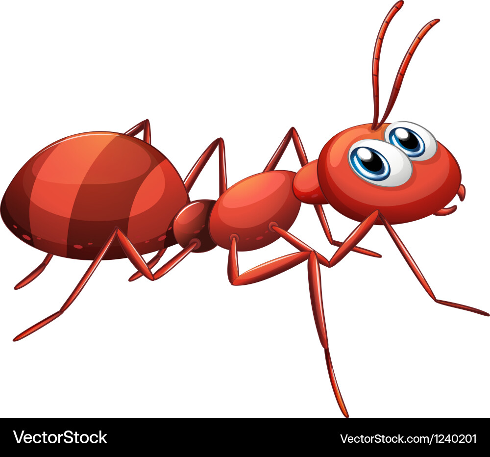 A big red ant Royalty Free Vector Image - VectorStock