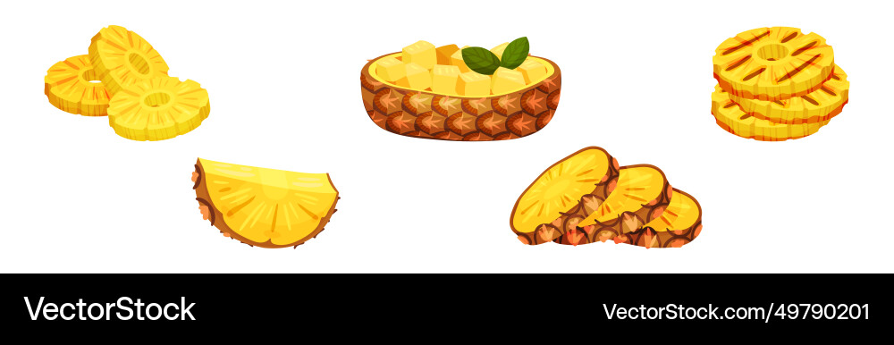 Bright pineapple fruit sweet dessert and food Vector Image