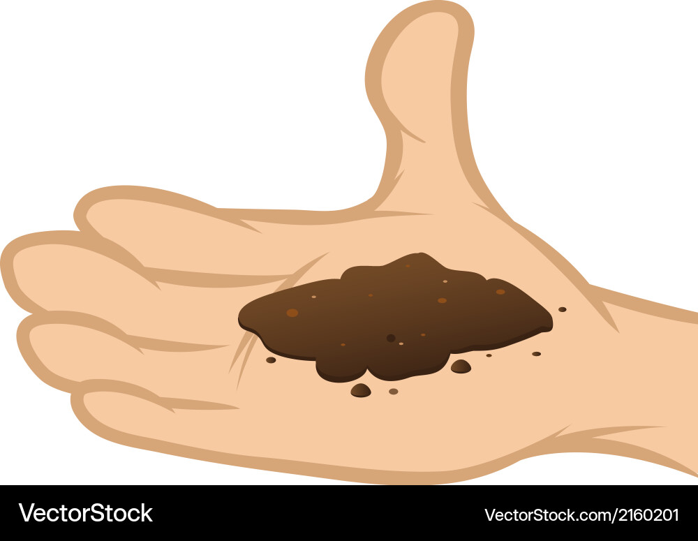 Soil sample Royalty Free Vector Image - VectorStock