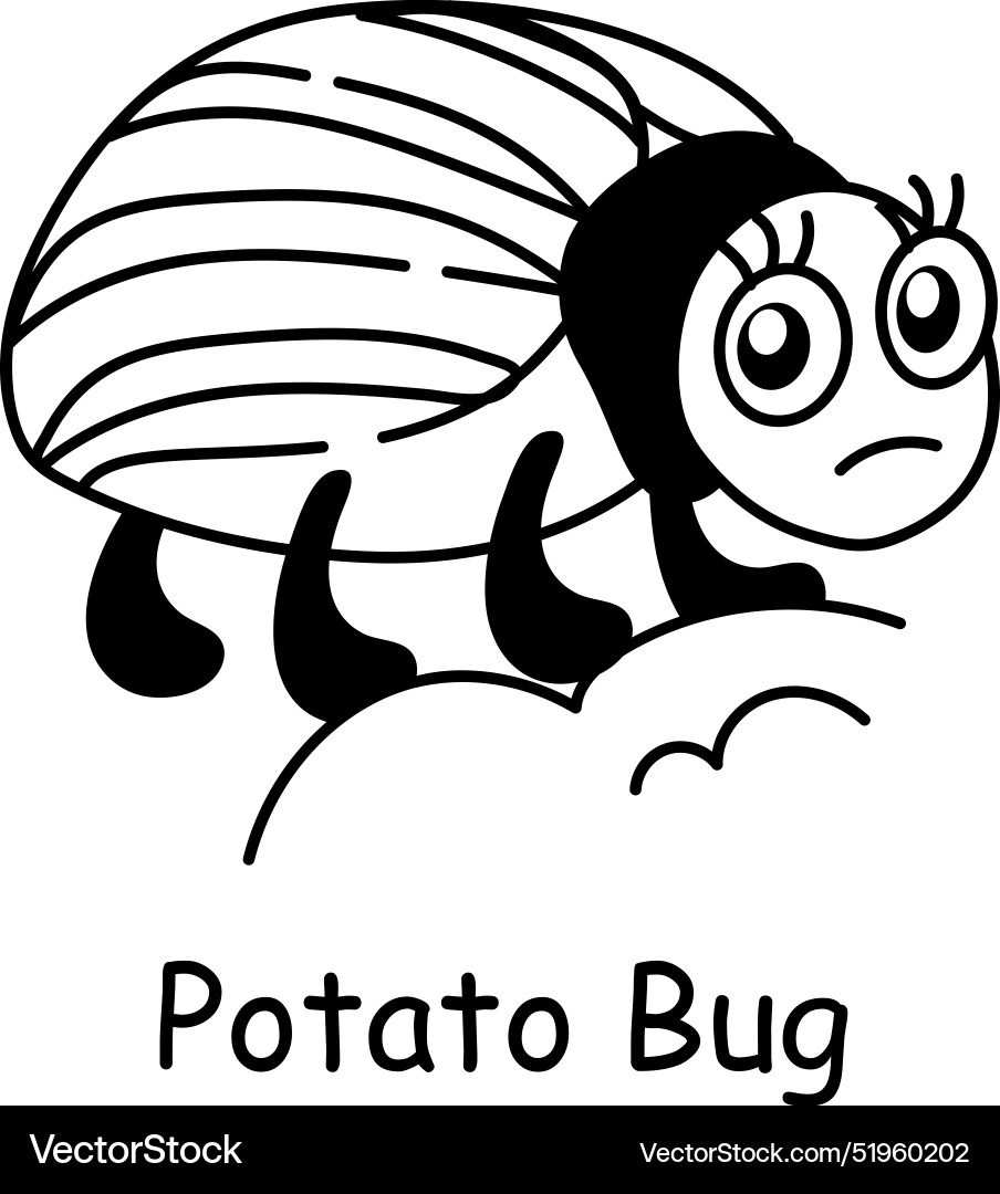 Potato bug Royalty Free Vector Image - VectorStock