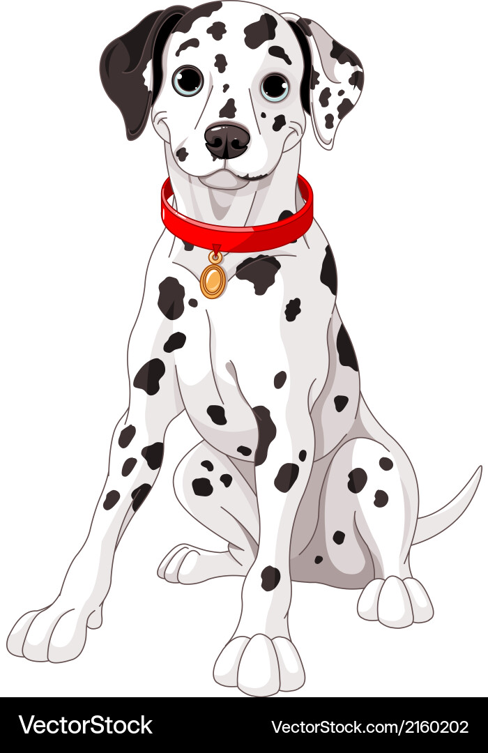 Smiling Dalmatian Dog Royalty Free Vector Image