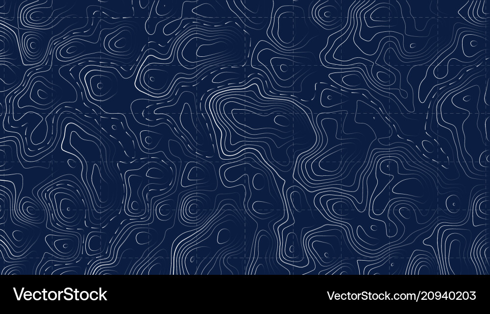 Creative of topographic map Royalty Free Vector Image