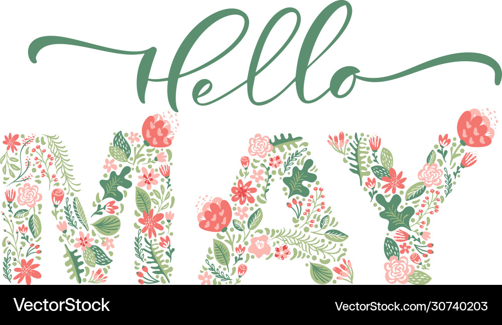 Hello may handwritten calligraphy lettering text Vector Image