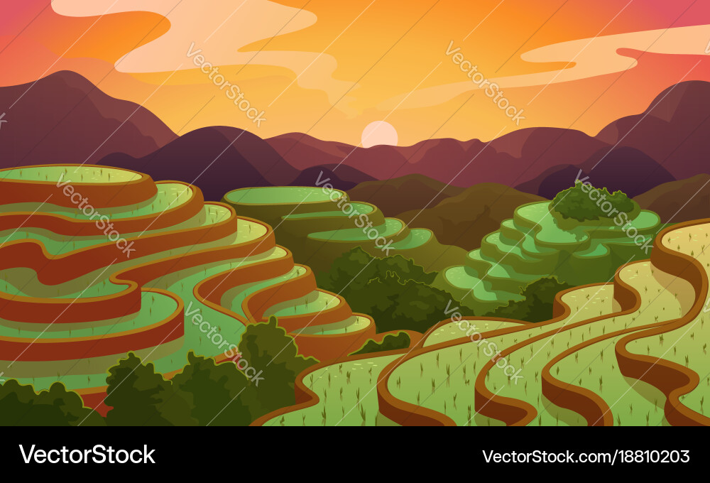 Landscape rice chinese field terrace Royalty Free Vector