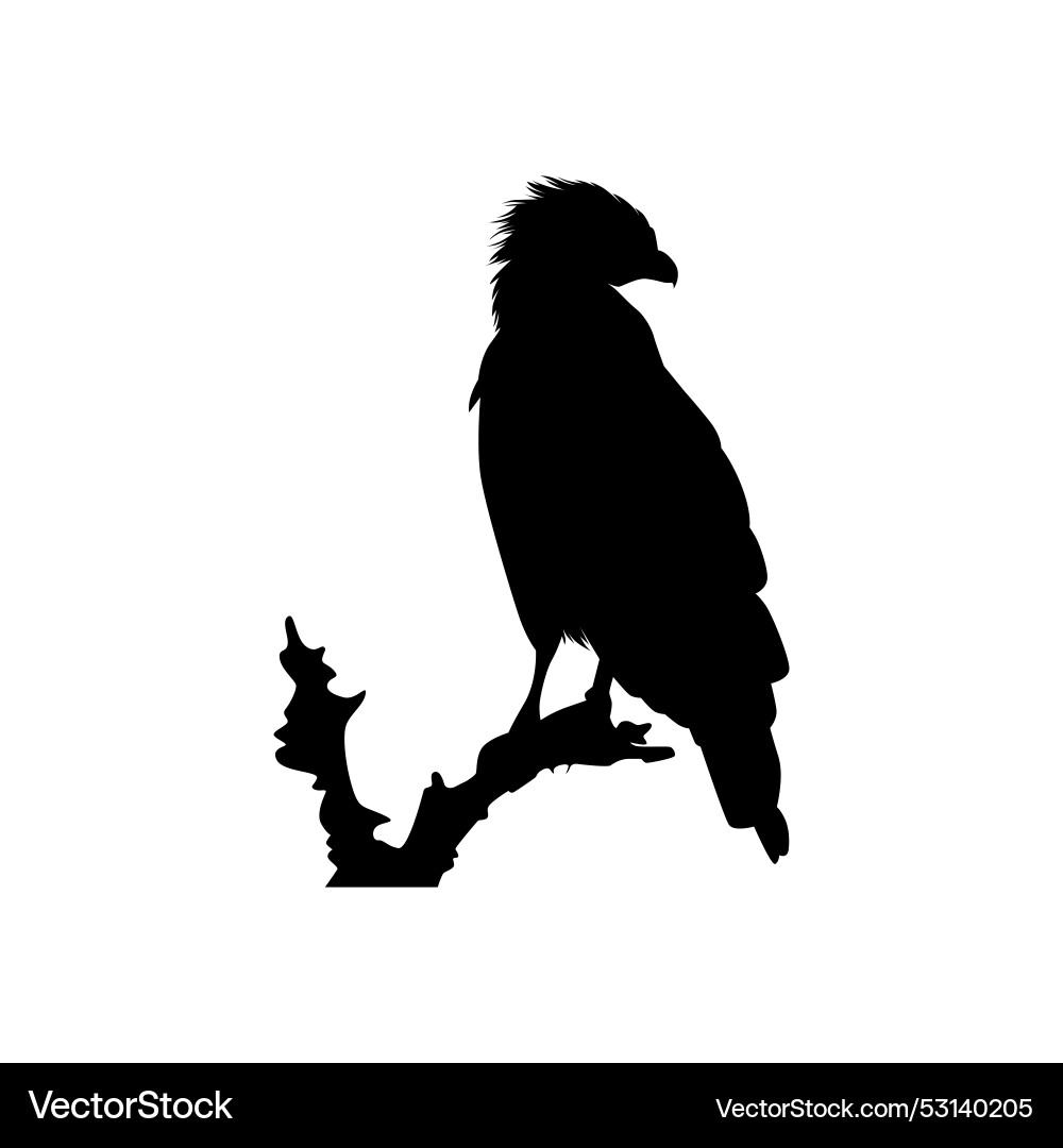 Hawk bird animal shape icon Royalty Free Vector Image