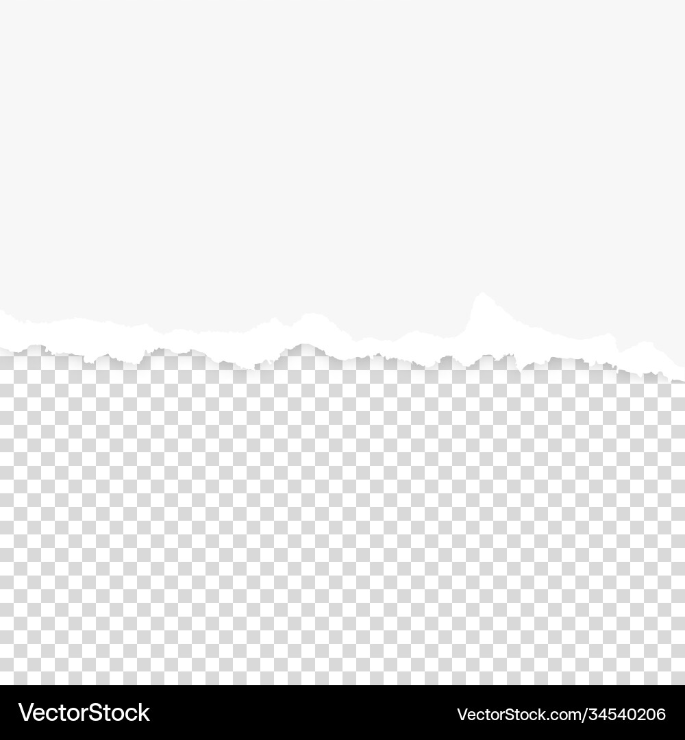Realistic white blank torn ripped paper Royalty Free Vector